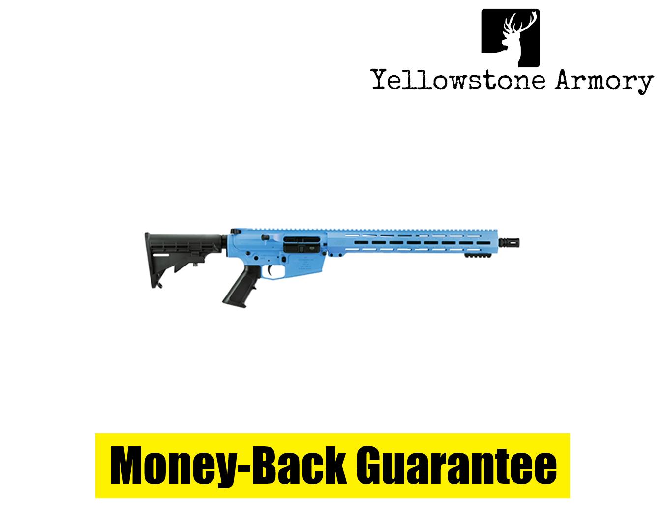 ALEX PRO FIREARMS GUARDIAN 308WIN 16 POLAR BLUE MLOK M4 20RD RI288PB ...
