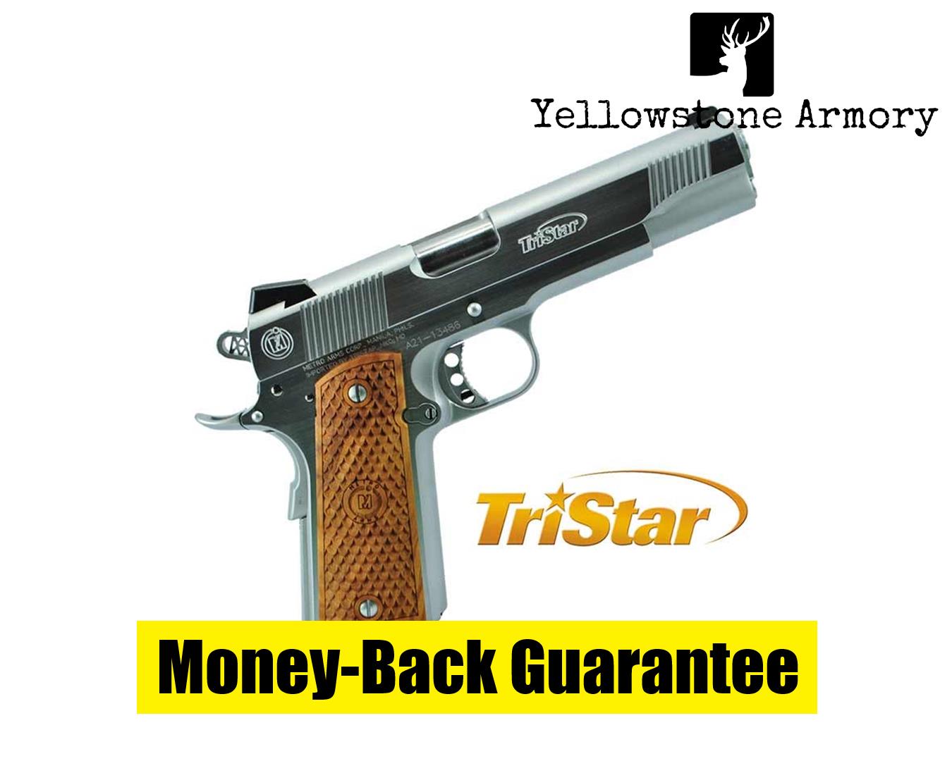 American Classic II 1911 Government Pistol 9mm 5in. Chrome 10 rd. 85615 ...
