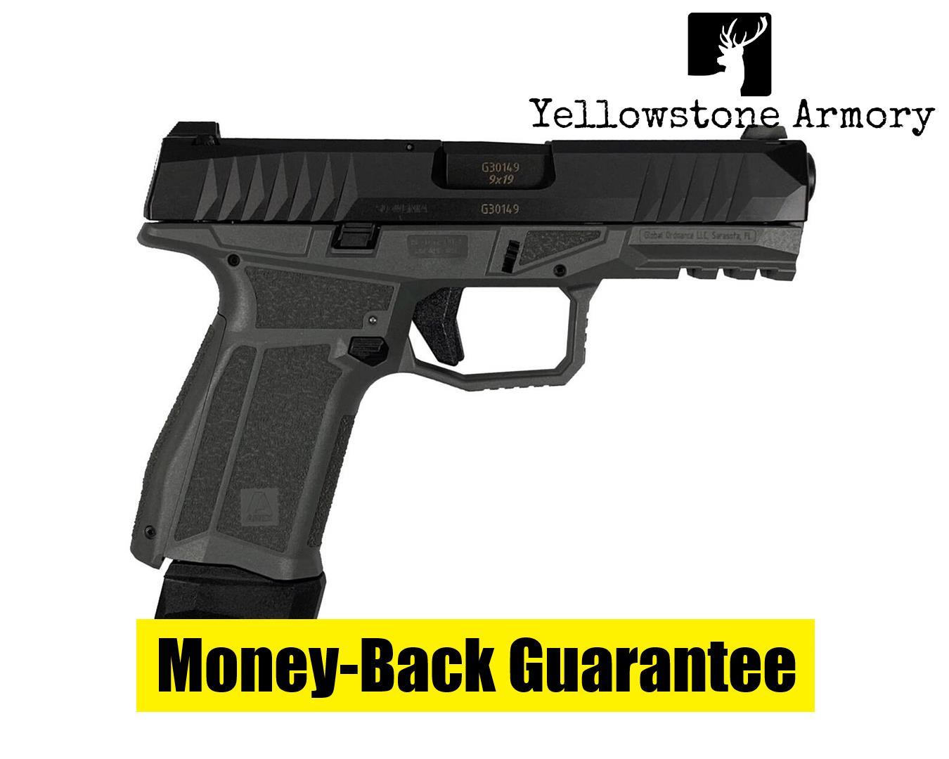 Arex Delta Gen.2 M Pistol - Gray 602429 - Semi Auto Pistols at ...