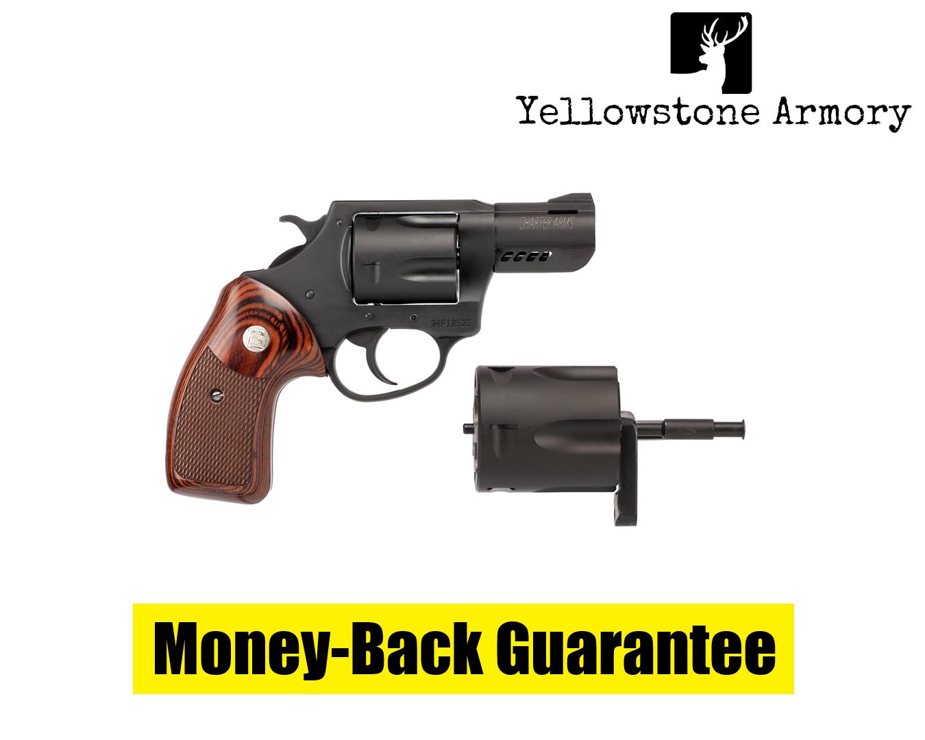 Charter Arms Double Dog Revolver 37 MAGAZINE / 9mm 2.2 in Black 13920 ...