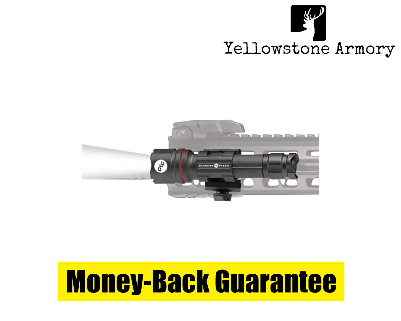 Crimson Trace Tactical Light Long Gun w/ Accessory Rail 900 Lumen ...