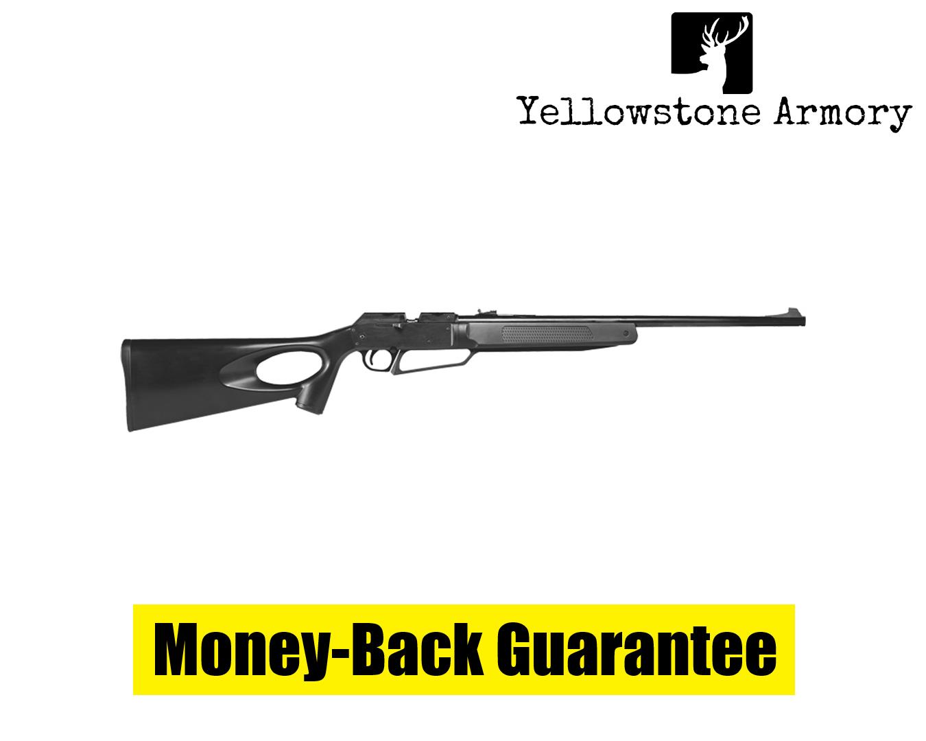 DAISY WINCHESTER MODEL 77 .177 BB & PELLET PNEUMATIC RIFLE 991977-402 ...