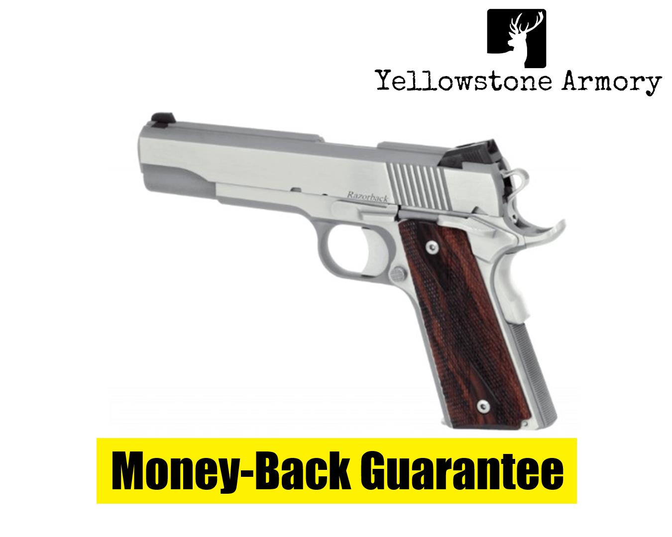 DAN WESSON DW RAZORBACK 10MM SS NS 8RD 01889 - Semi Auto Pistols at ...
