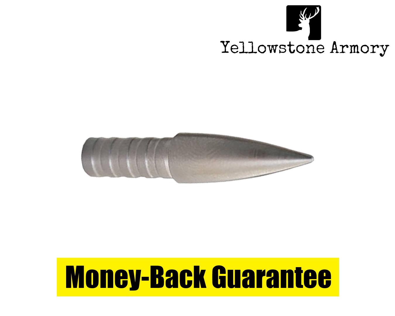 Gold Tip Accu-Points .204 Large 100 gr. 12 pk. GLUAP204100LG12 ...