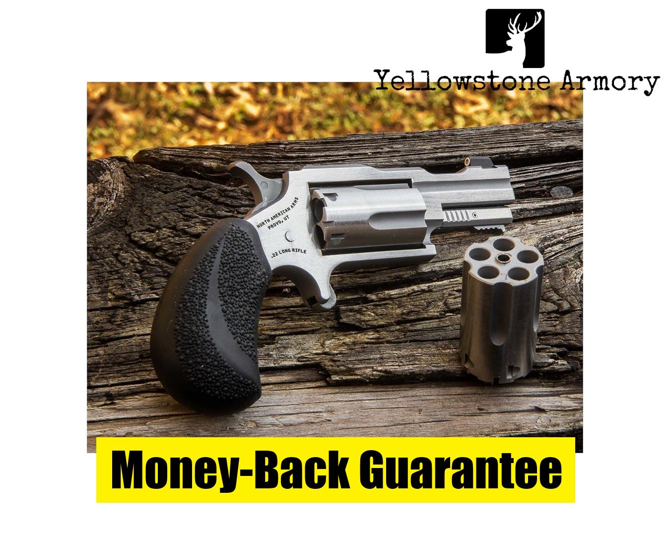 NORTH AMERICAN ARMS 22M/22LR BUGOUT II SS XS SGHT# NAA-22MC-TB ...