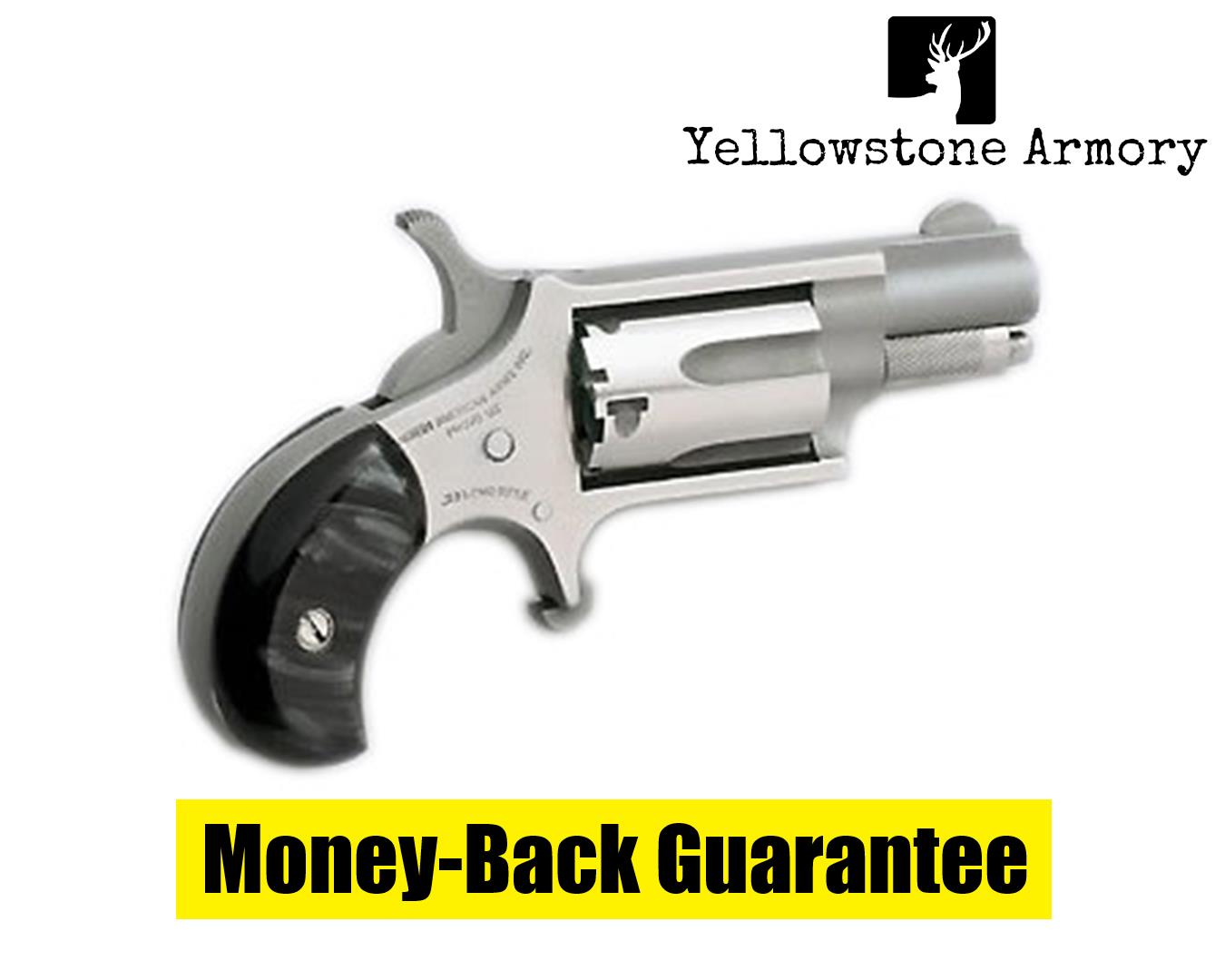 North American Arms Mini-Revolver NAA-22LR-GP-B - Revolvers at ...