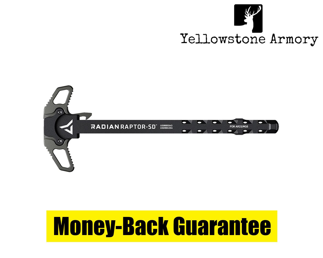 RADIAN HANDLE Raptor R0561 - Hunting Accessories at GunBroker.com ...