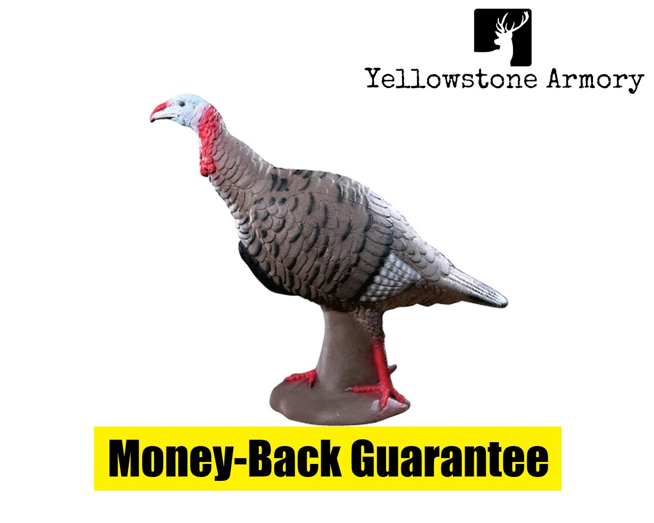 Rinehart Tom Turkey Target 41511 - Shooting Targets at GunBroker.com ...